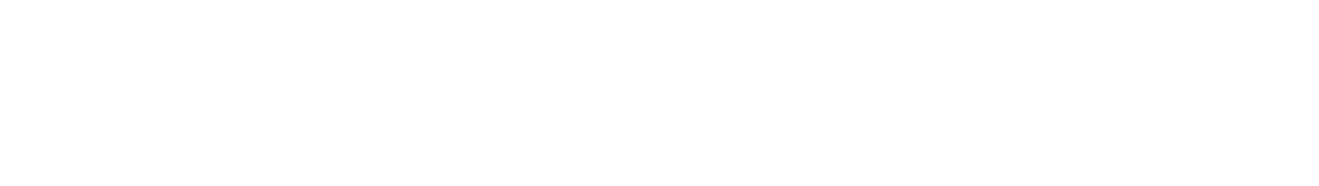 Elevate Your Career at NLS - Next Level Solutions