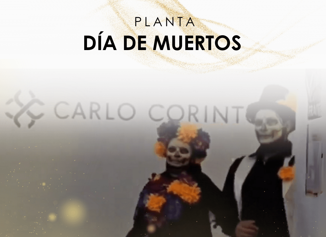 Conviértete en Talento - Franslux