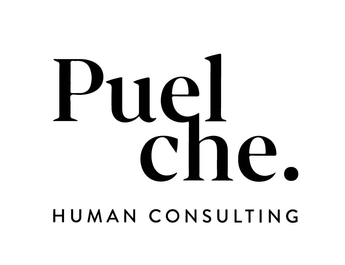 Puelche HC – Connect