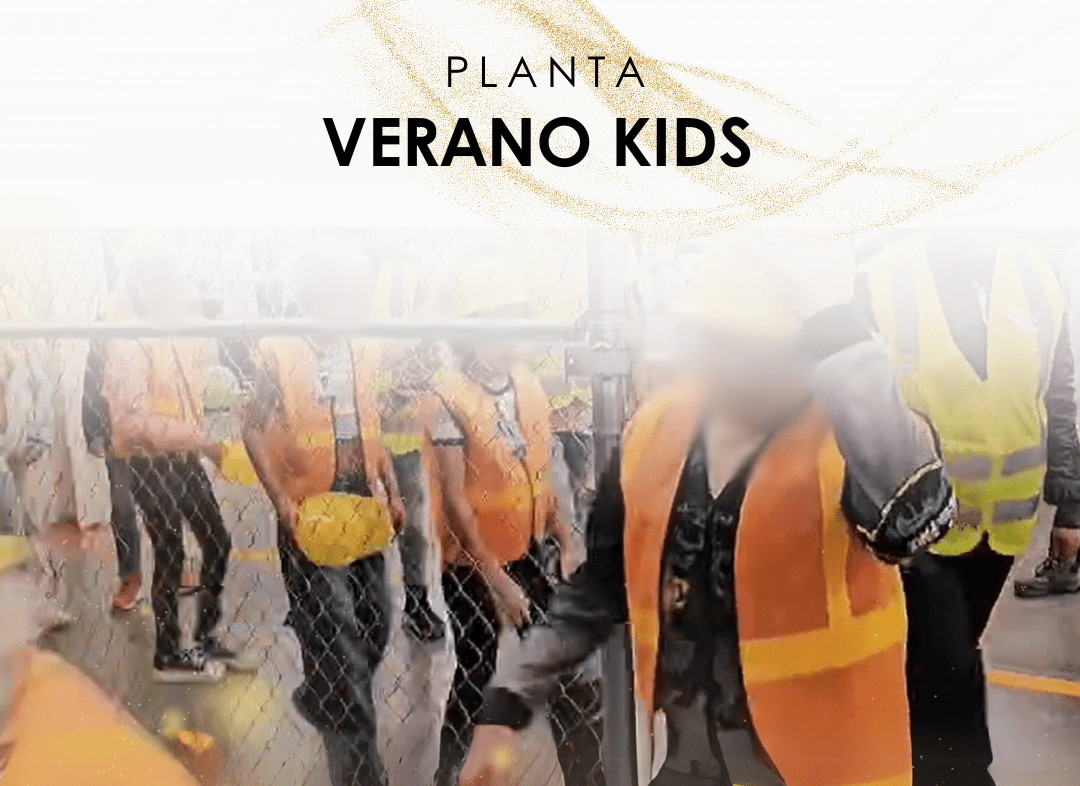 Conviértete en Talento - Franslux