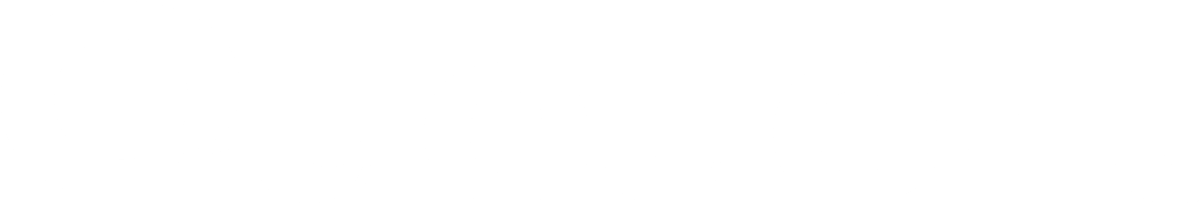 BDA Assessment - Japanese - Queue-it ApS