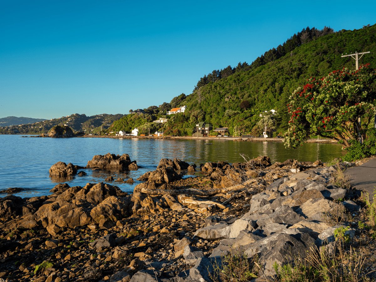 Request data - Wellington Water