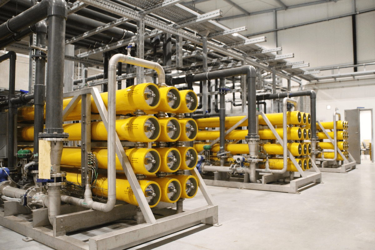 Dive into SAUR's adventure - Saur Americas