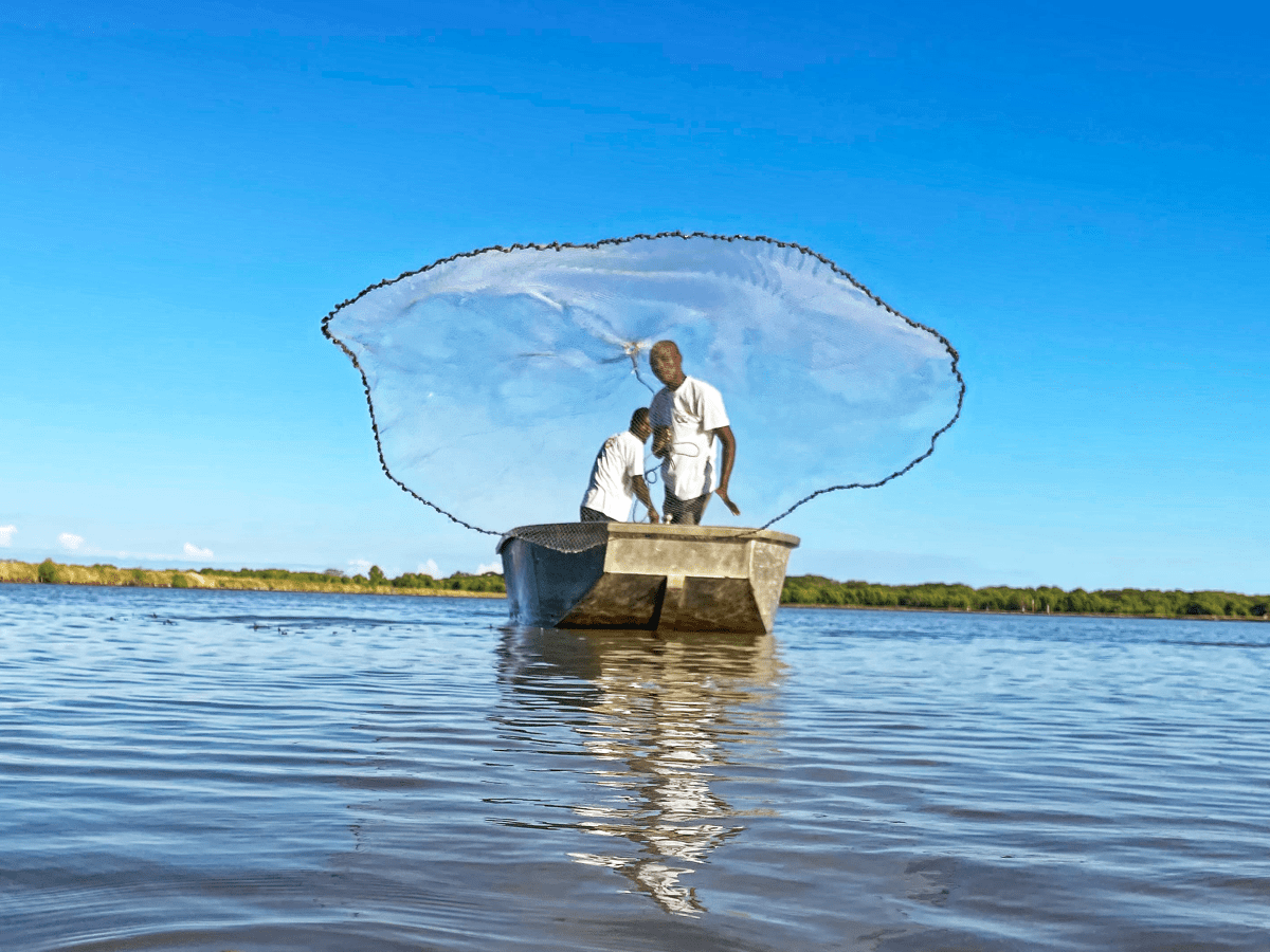 Embarquez-vous - Maison Reynaud