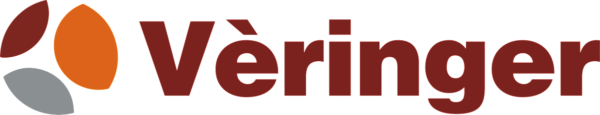 Data & Privacy - Vèringer Engineering