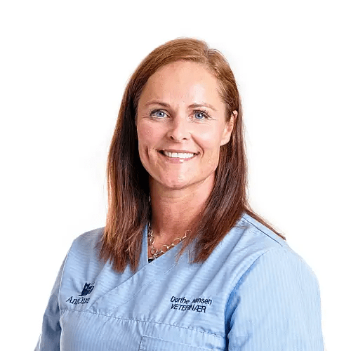 Dorthe Hansen - Veterinarian - AniCura Group