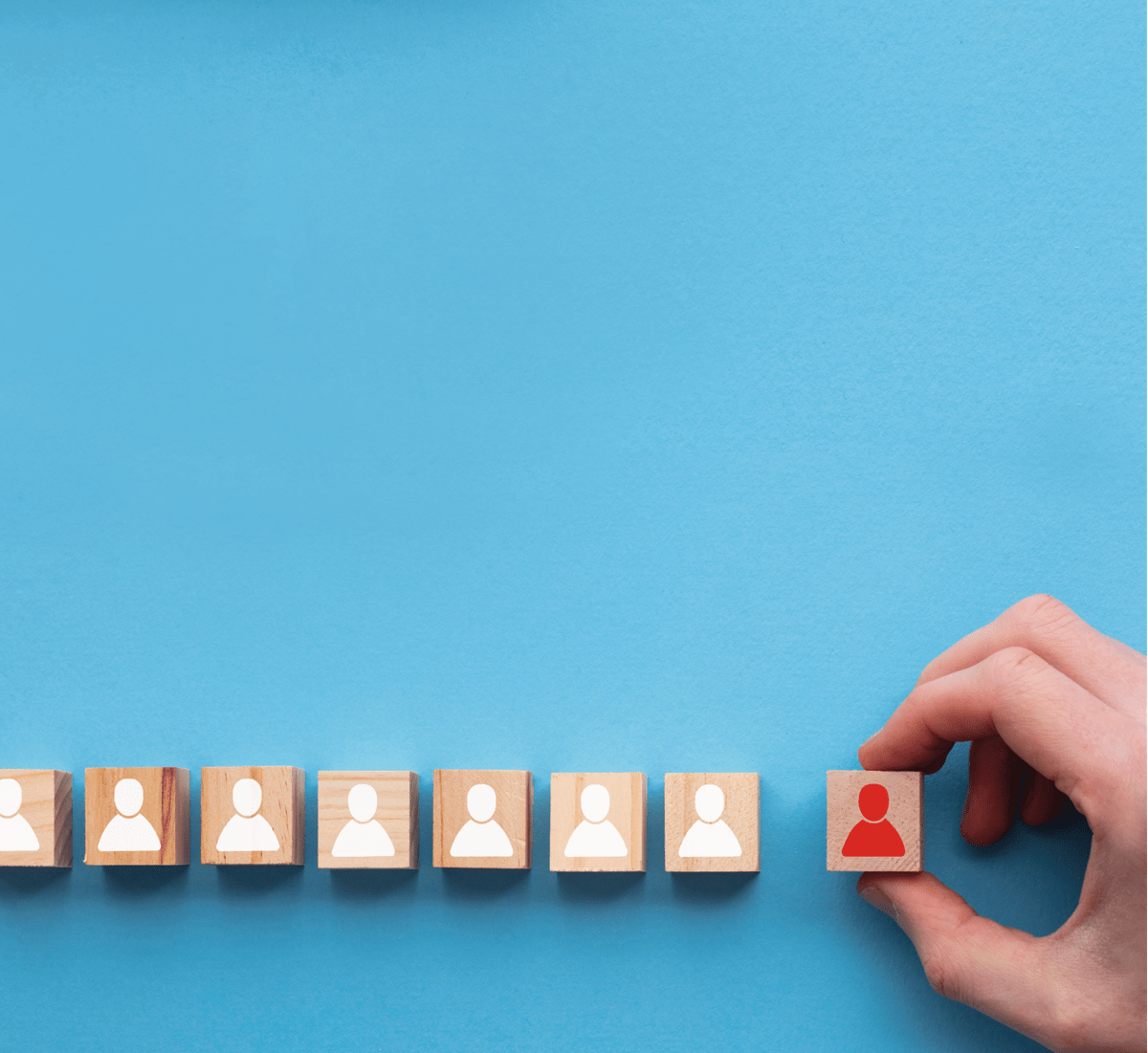 Request data - Novum Global