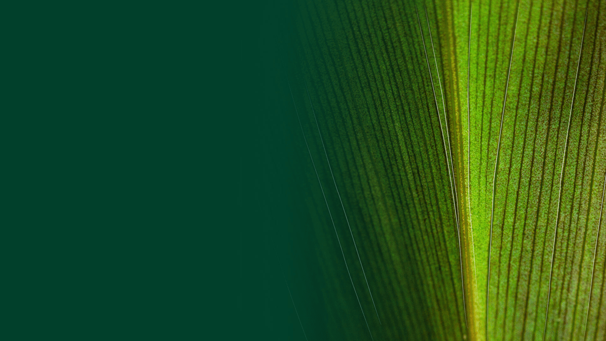 Request data - Natcap