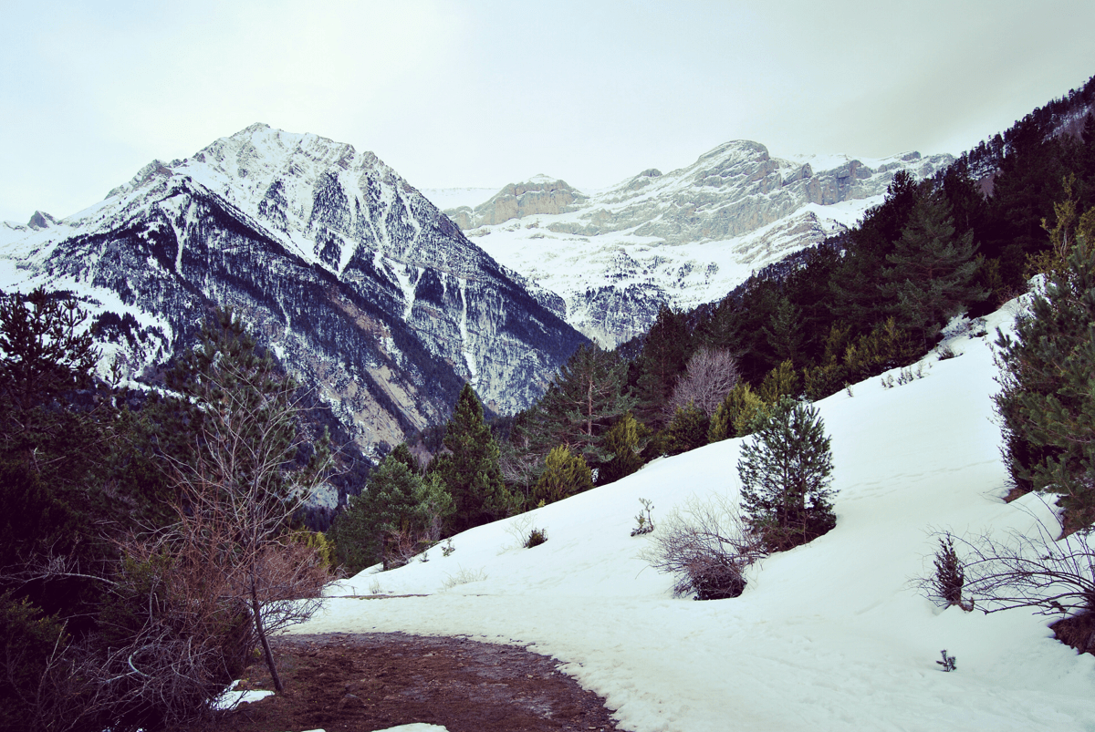 Volunteer with IVY - Interreg Volunteer Youth (IVY)