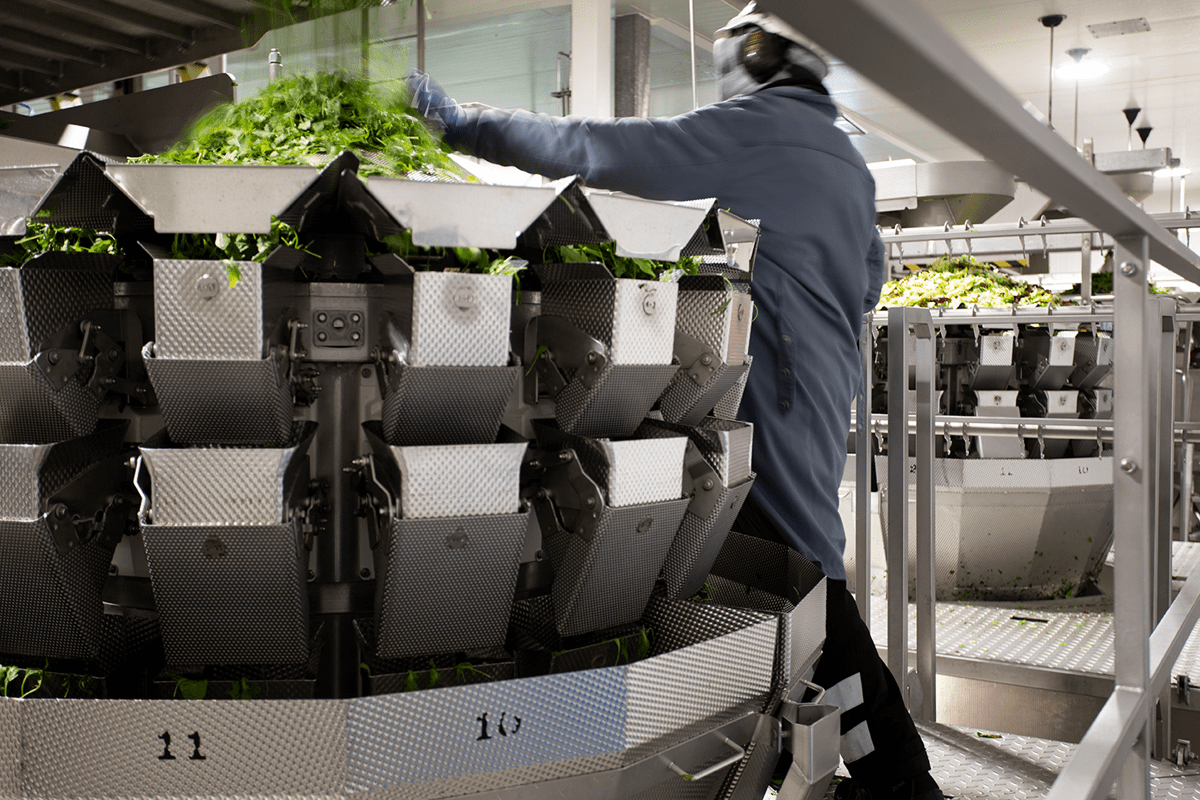 Bama Nordics karriärsida - BAMA Nordic