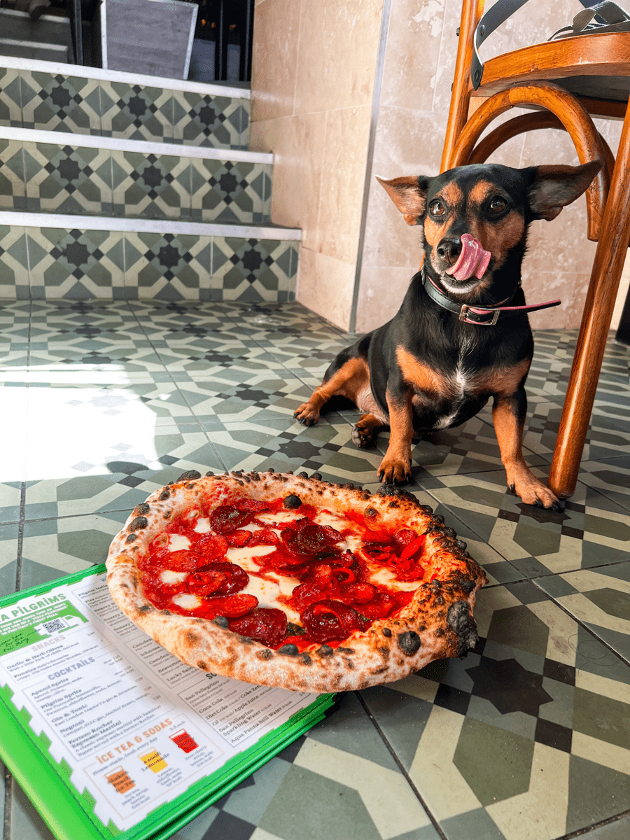 Waterloo - Pizza Pilgrims