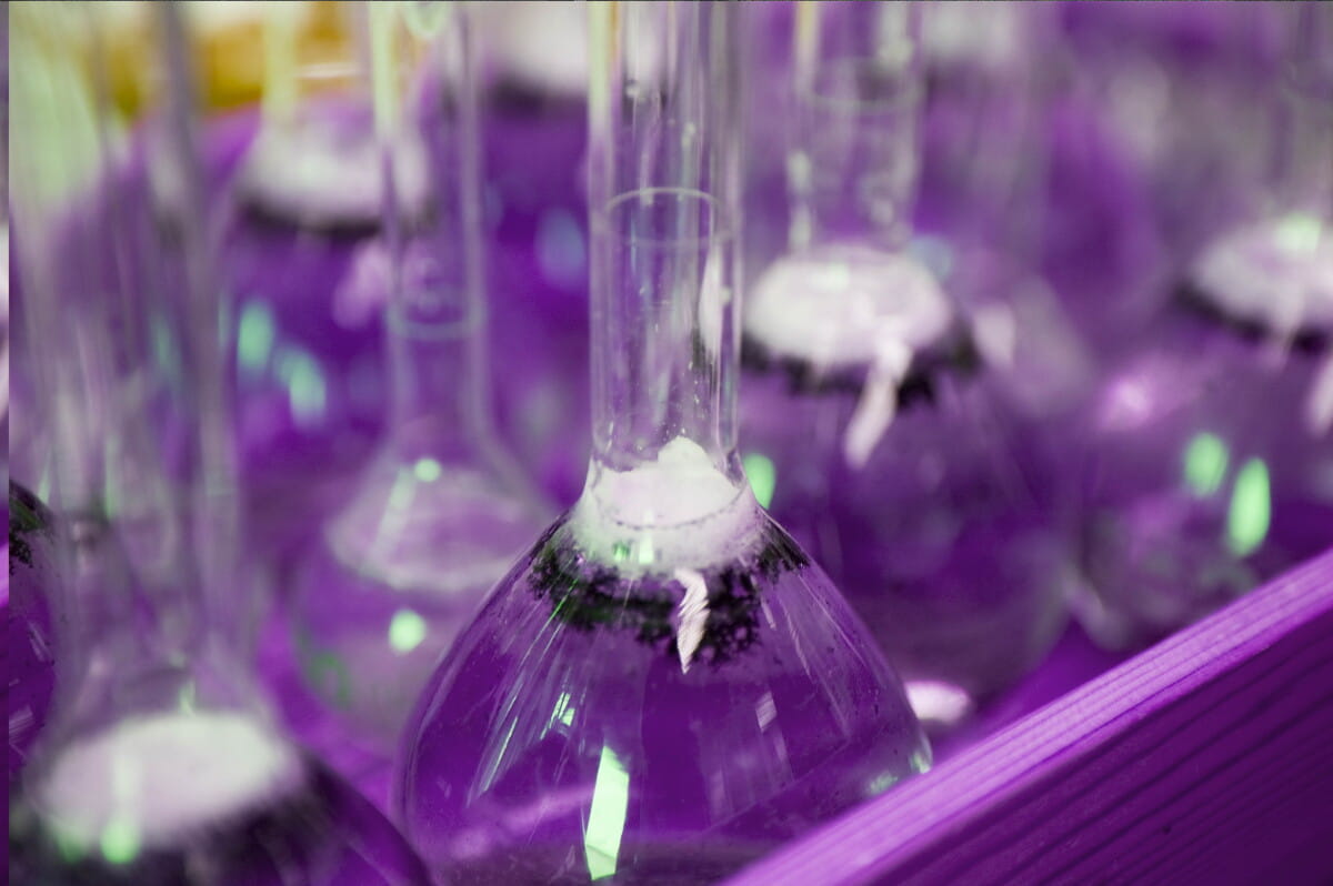 Research & Development - SEVER Pharma Solutions