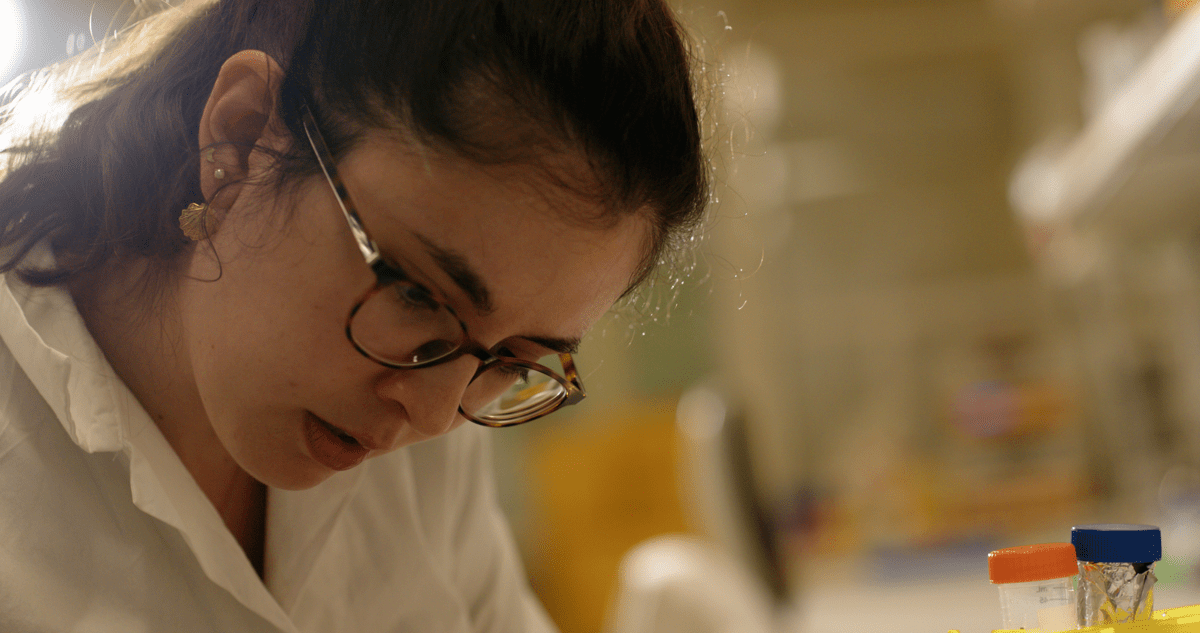 Data & Privacy - Moleculent