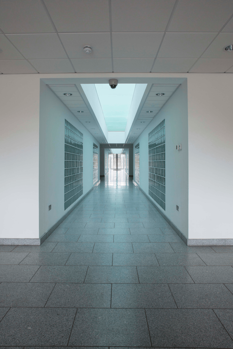 Careers at - Camena Bioscience