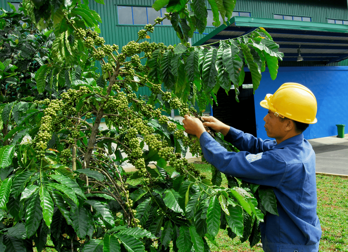 Encuentra tu futuro con ECOM - ECOM Trading