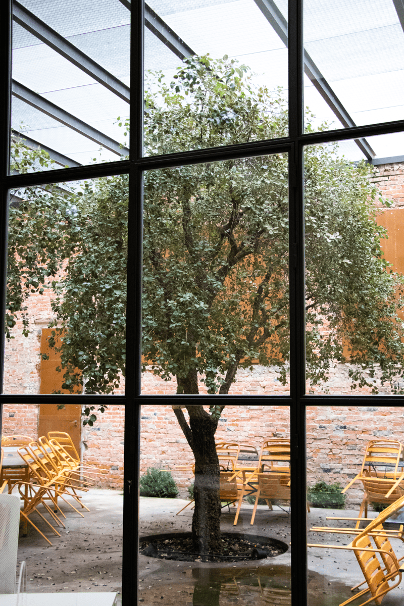 A unique career - CrowdFarming