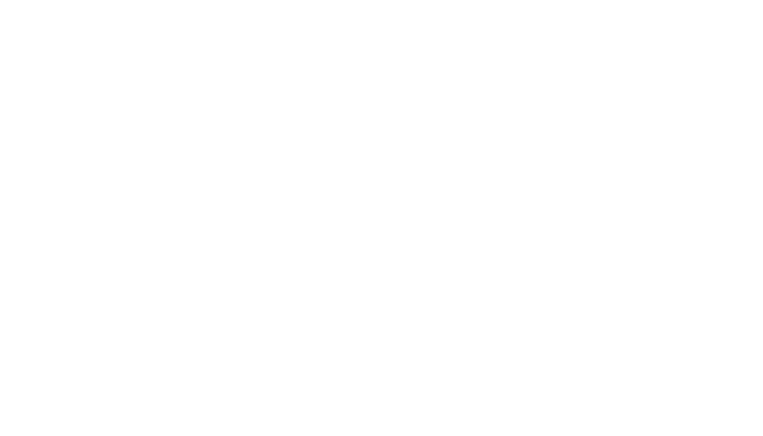 iTalent PLUS – Connect