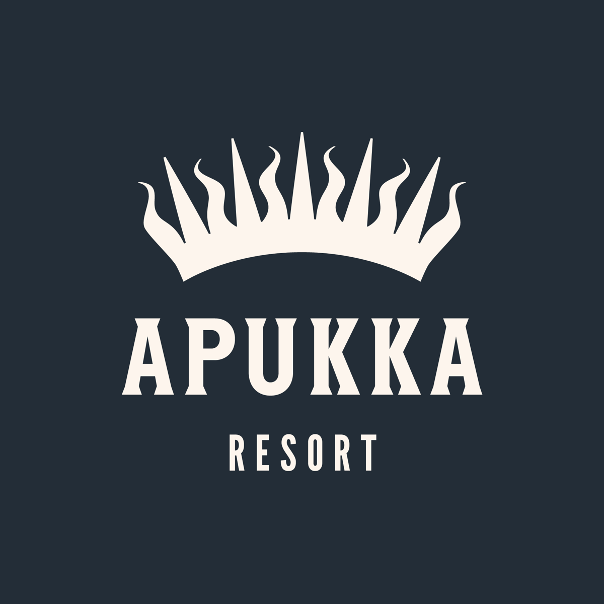 Apukka Resort – Connect