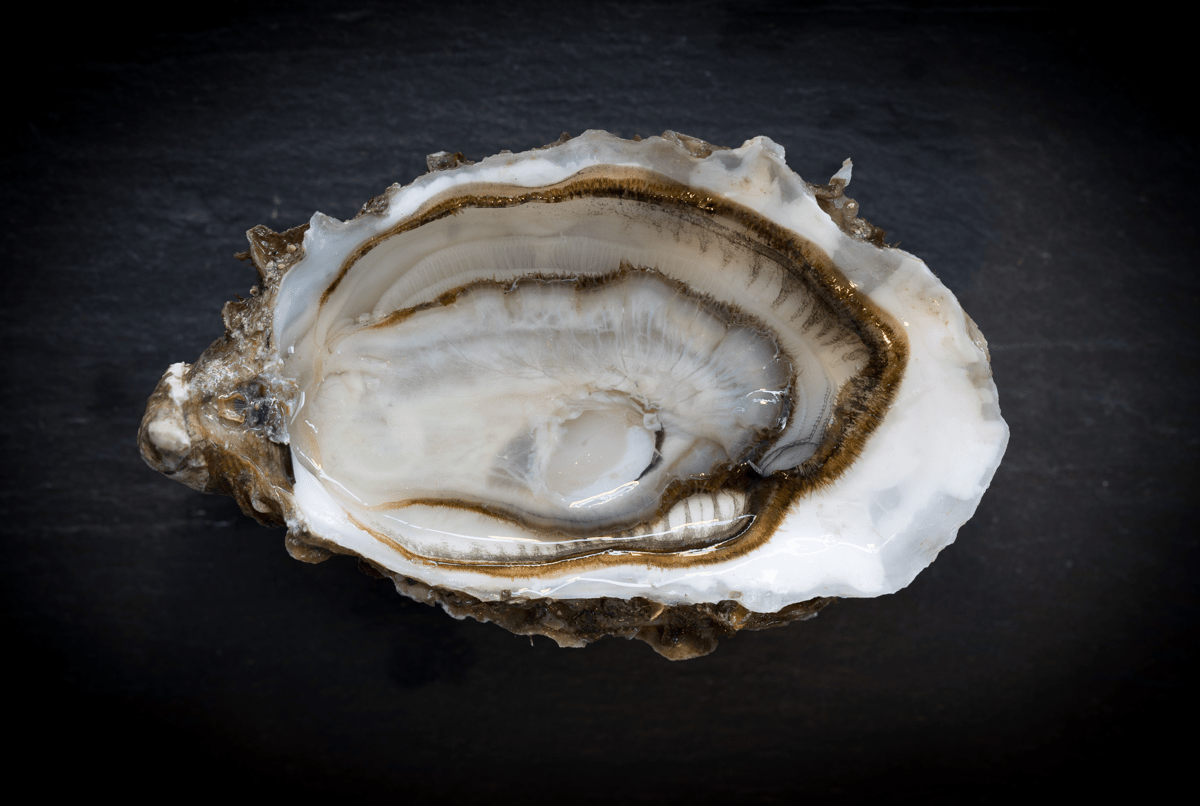 Embarquez-vous - Maison Reynaud