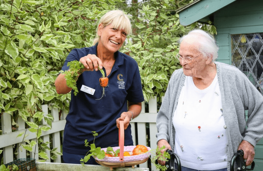 Garden & Maintenance - Colten Care