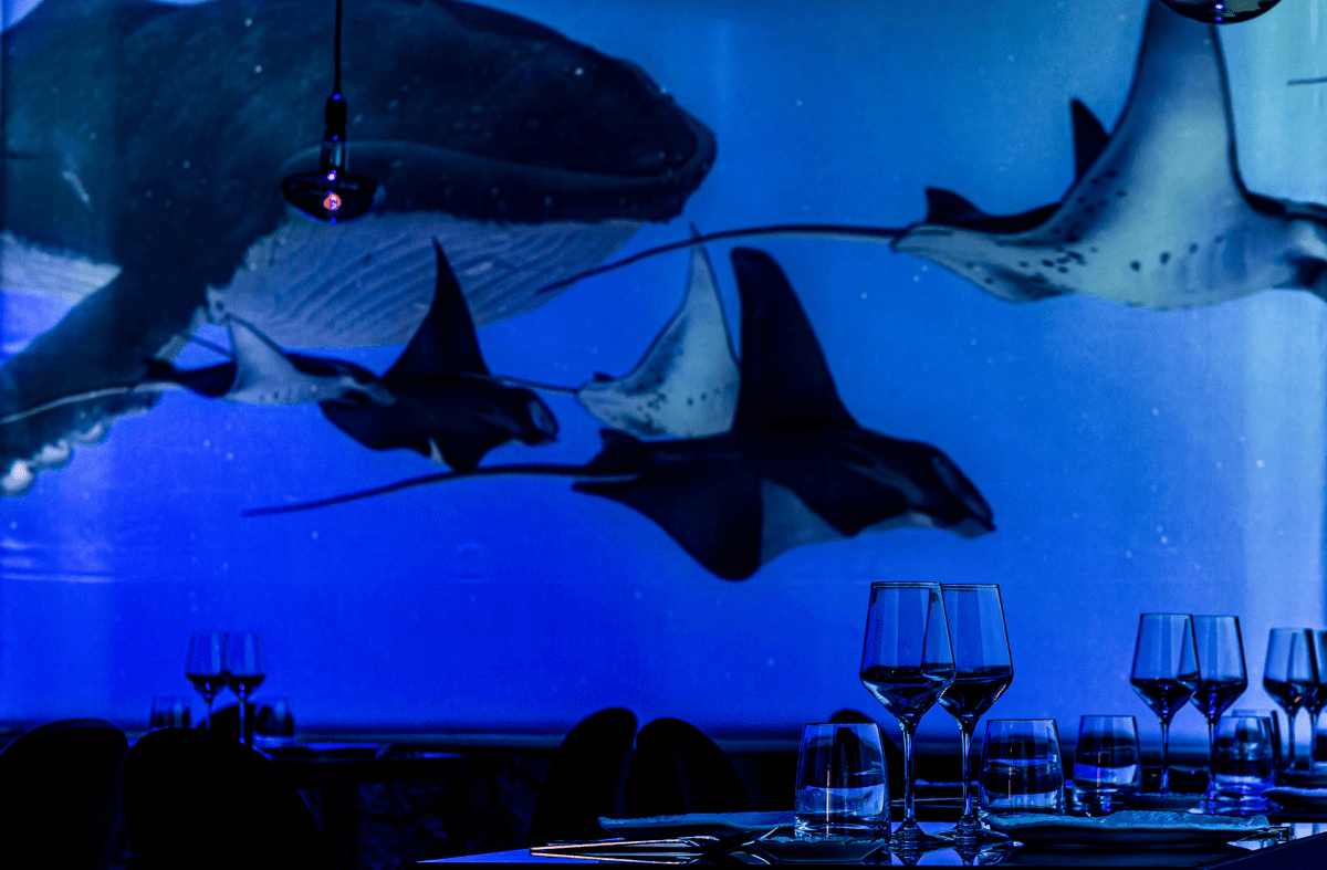 Équipe - Ephemera Group