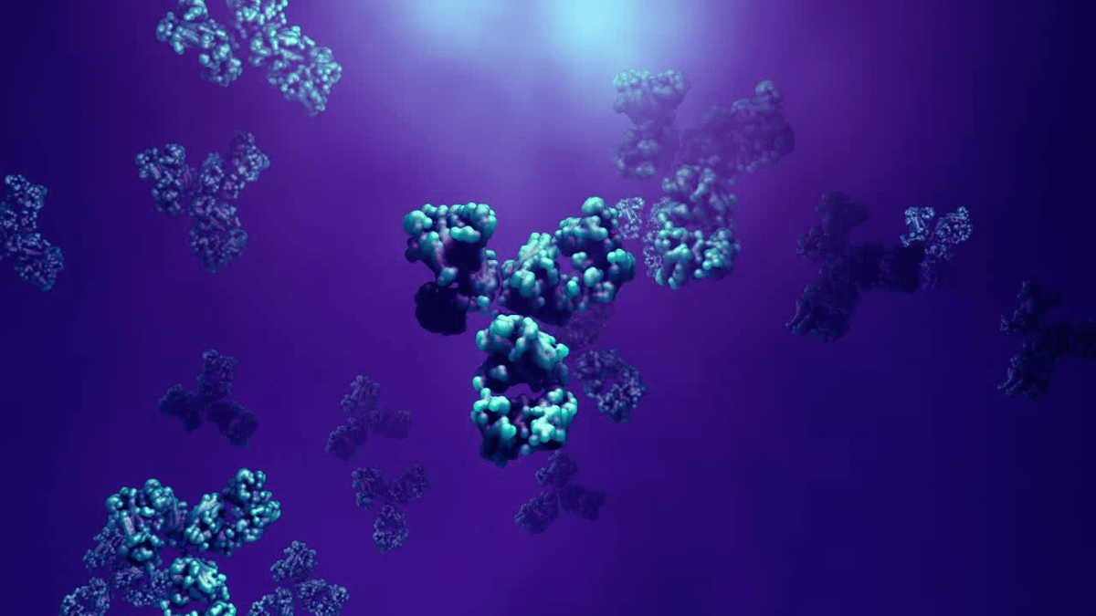 Antiverse – Connect