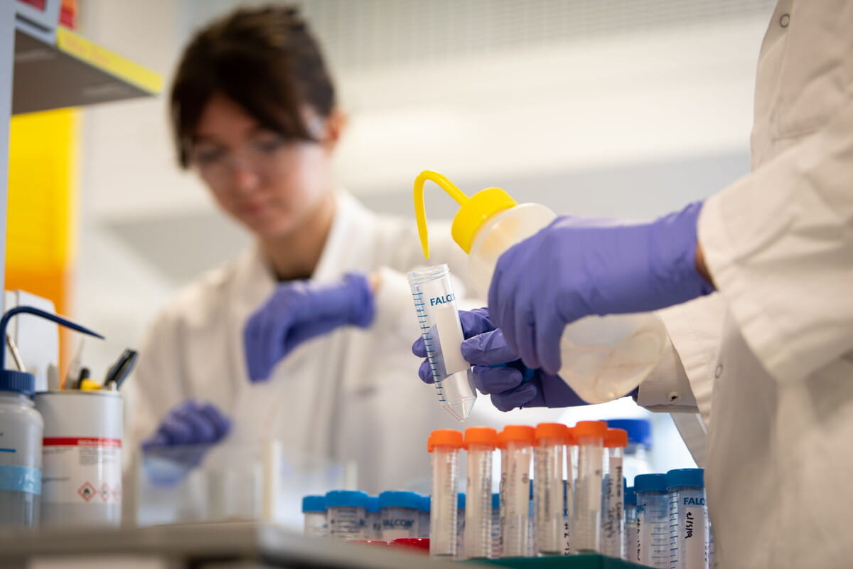 Product Development - Puraffinity