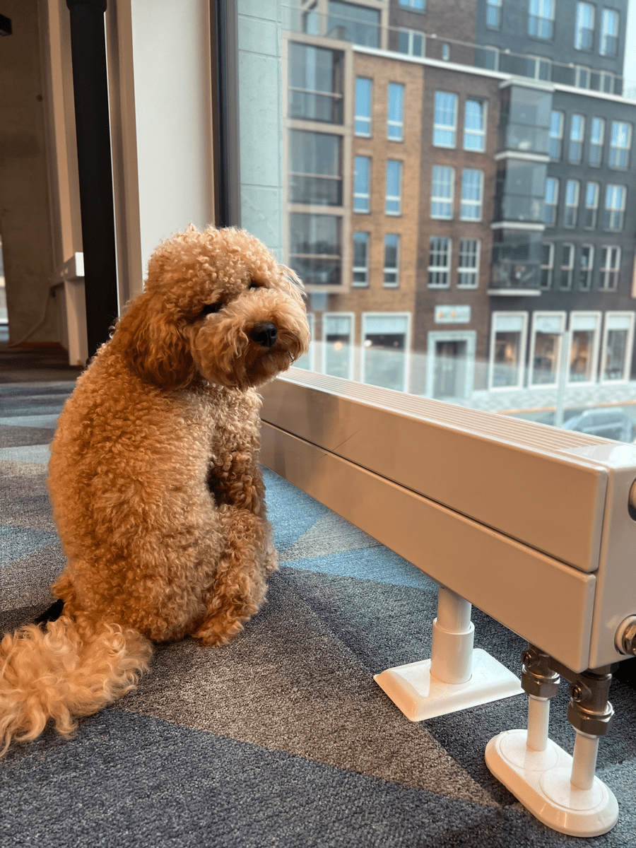 Take your career to the next level - Montonio