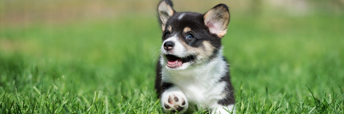 Butikschef till Arken Zoo Trollhättan, Tillsvidare - Arken Zoo