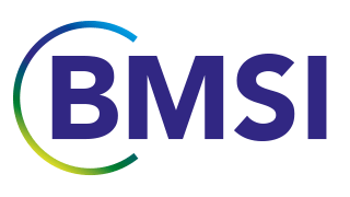 Current job openings - BMSI