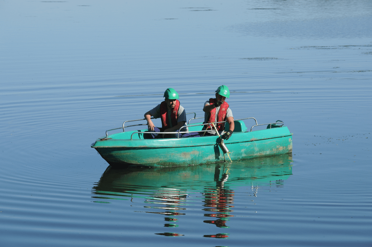 Dive into SAUR's adventure - Saur MEA & APAC