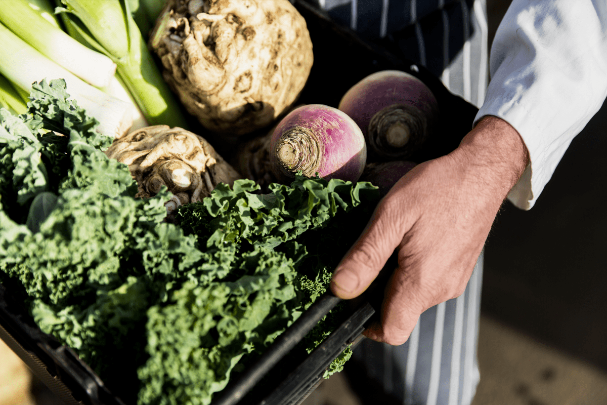 Production - Bamford Collection