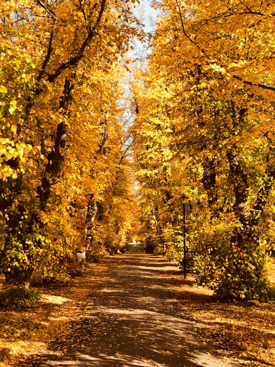 ATICC Sweden AB - ATICC Sweden AB