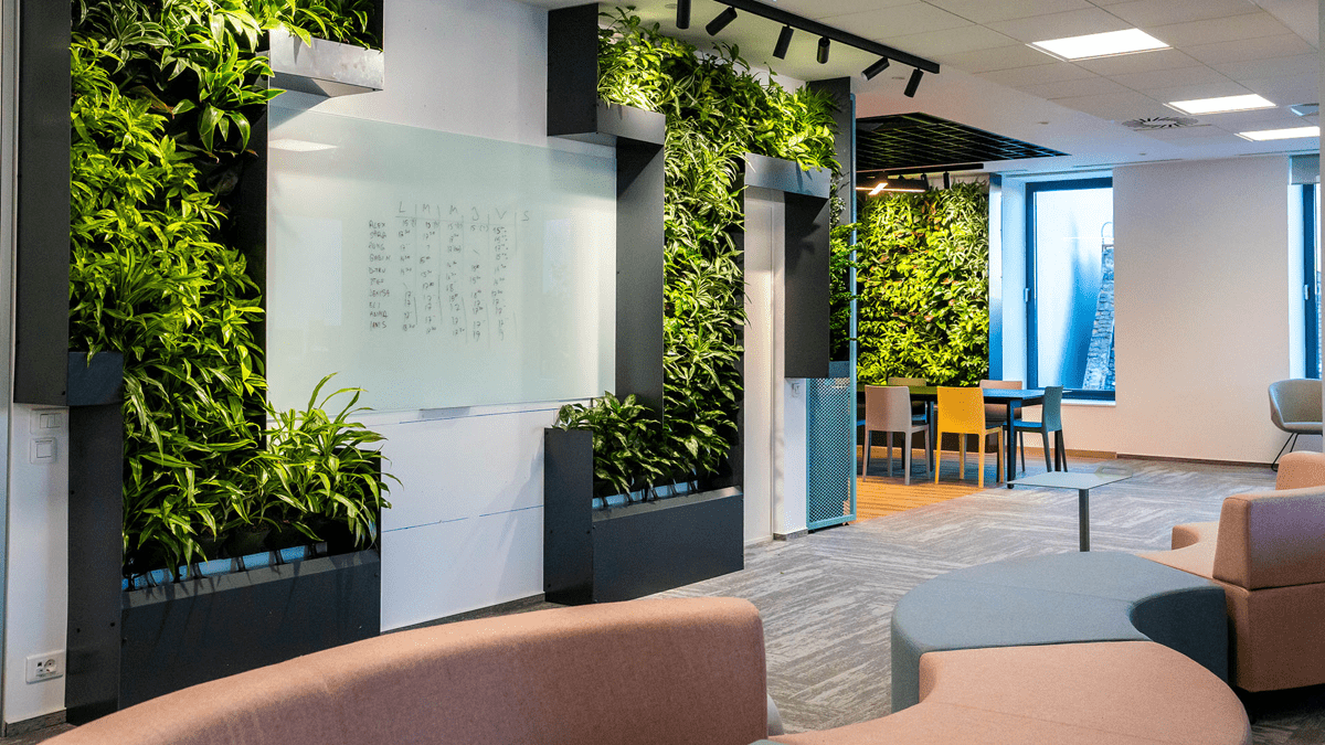 Bucharest Office - EveryMatrix