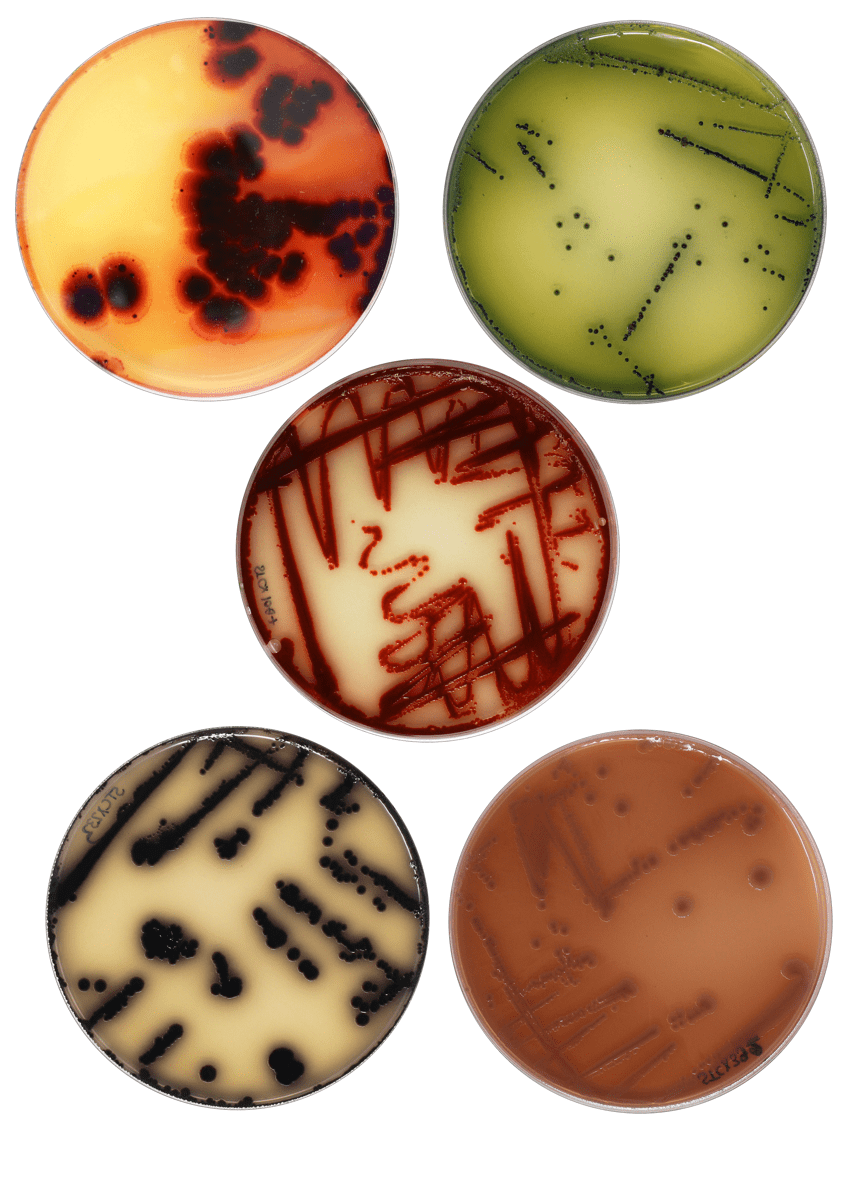 Colorifix Limited – Connect