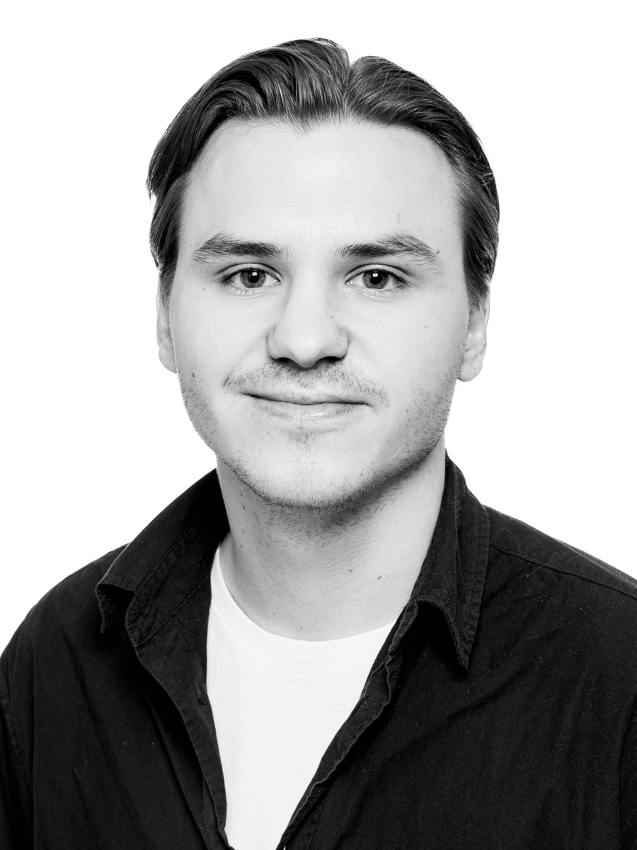 Emil Landén - SAP Consultant - Stretch