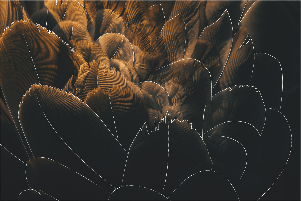 Request data - Natcap