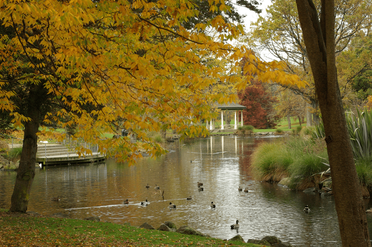 Timaru District Council - Timaru District Council