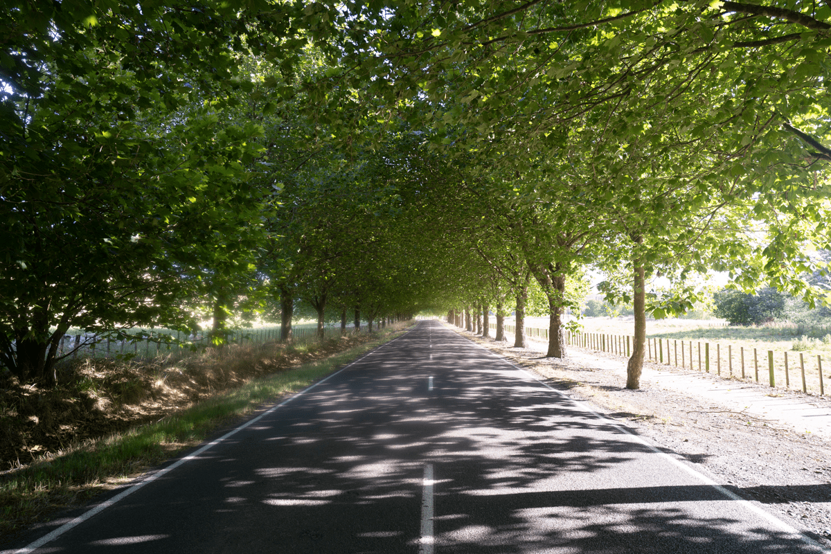 Request data - Ministry for Regulation