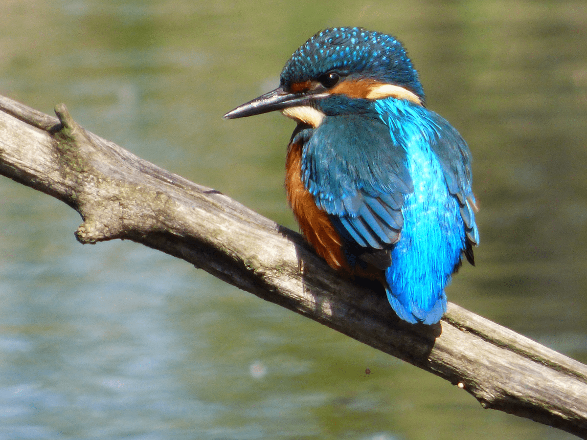 Welcome to our career site - Affinity Water