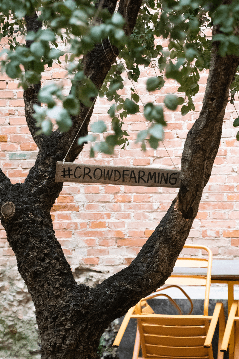 A unique career - CrowdFarming