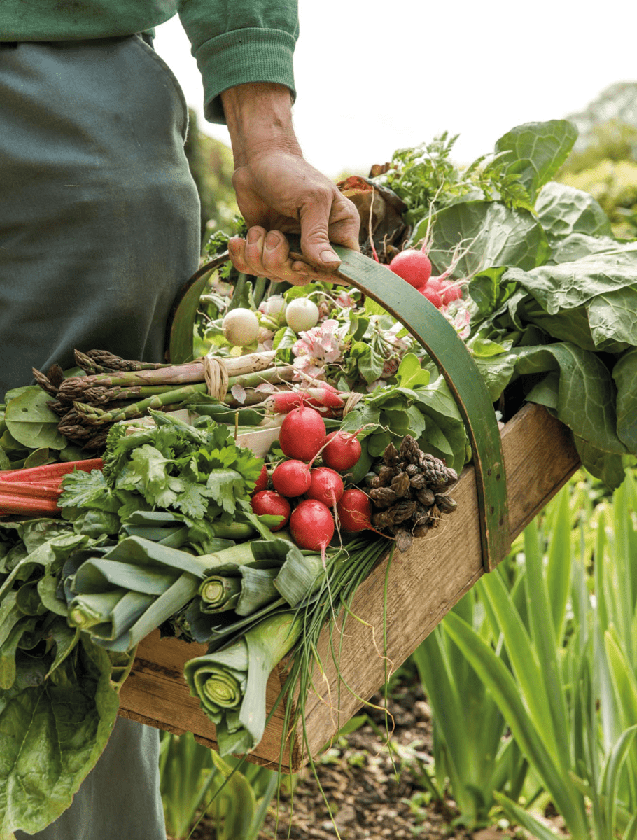 BAMFORD COLLECTION CAREERS - Bamford Collection