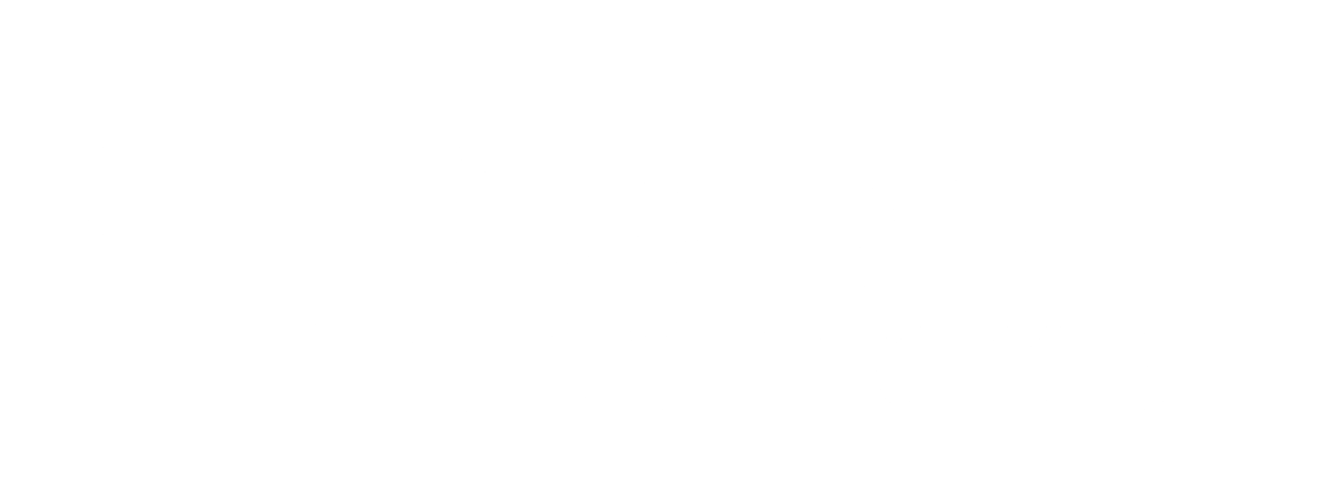 Stephen Hodgson - Commercial Director - BlueLight Commercial