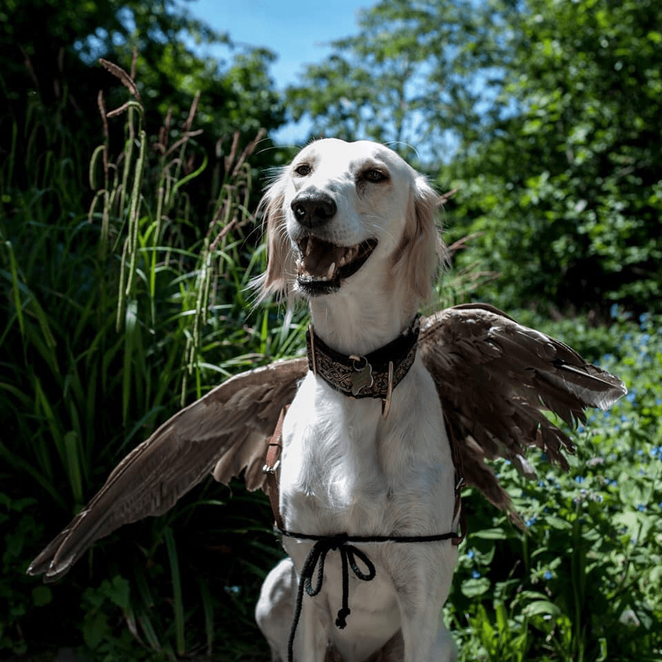 Sam Hicks - Biocrucible