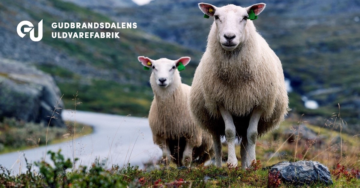 Lønn- og økonomikoordinator Gudbrandsdalens Uldvarefabrik AS - Adecco ...