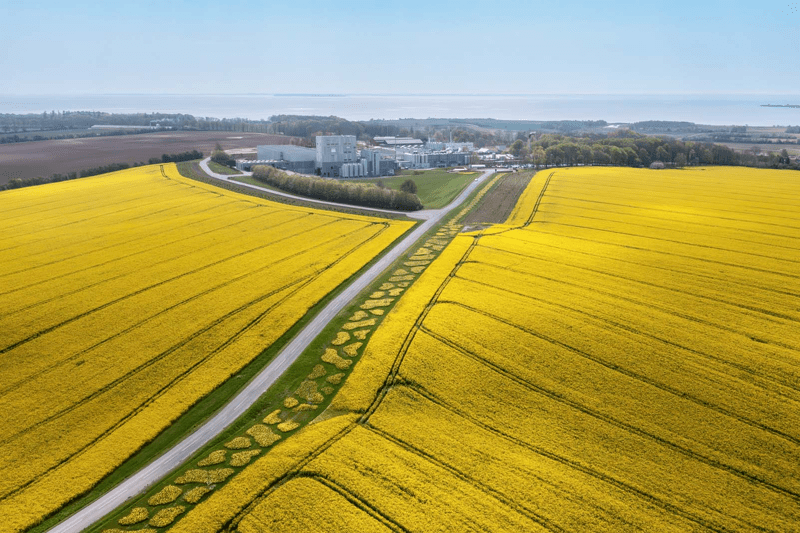 Current vacancies - Palsgaard