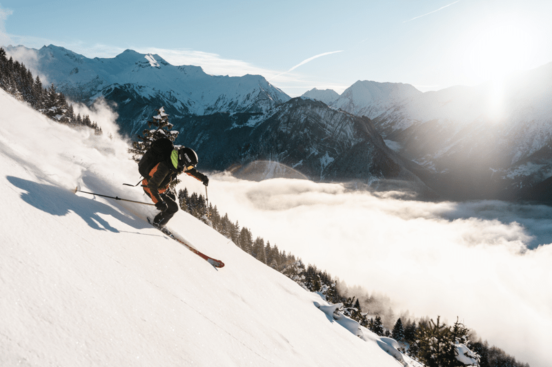 Offres d'emploi disponibles - Millet Mountain Group