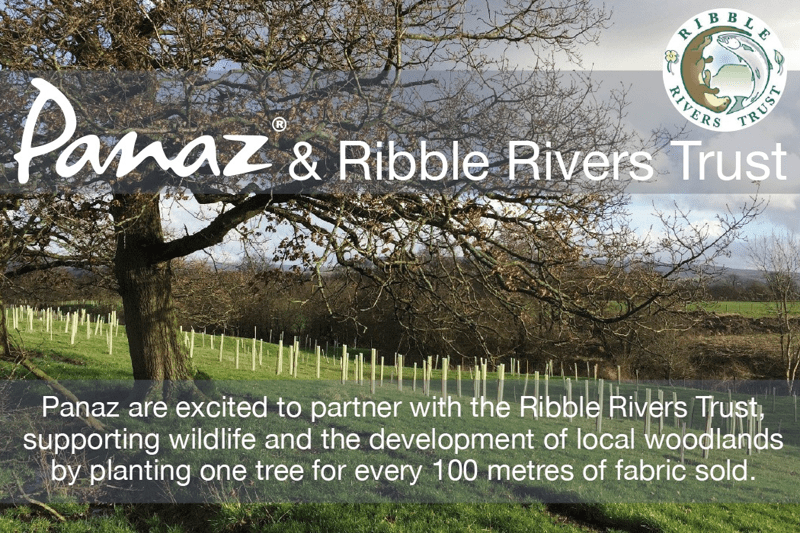 Careers at Panaz - Panaz